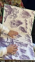 The Pandas Who Promised: Amazon.co.uk: Bright, Rachel, Field, Jim ...