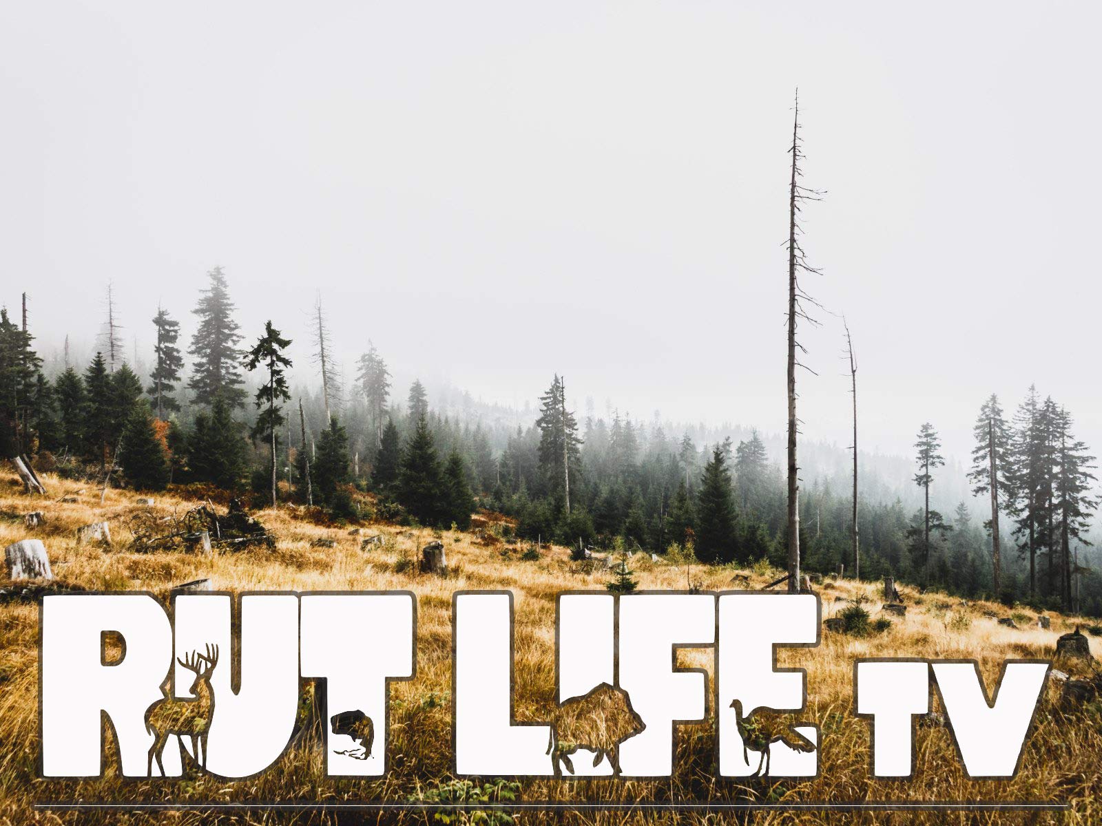 Watch Rut Life TV | Prime Video