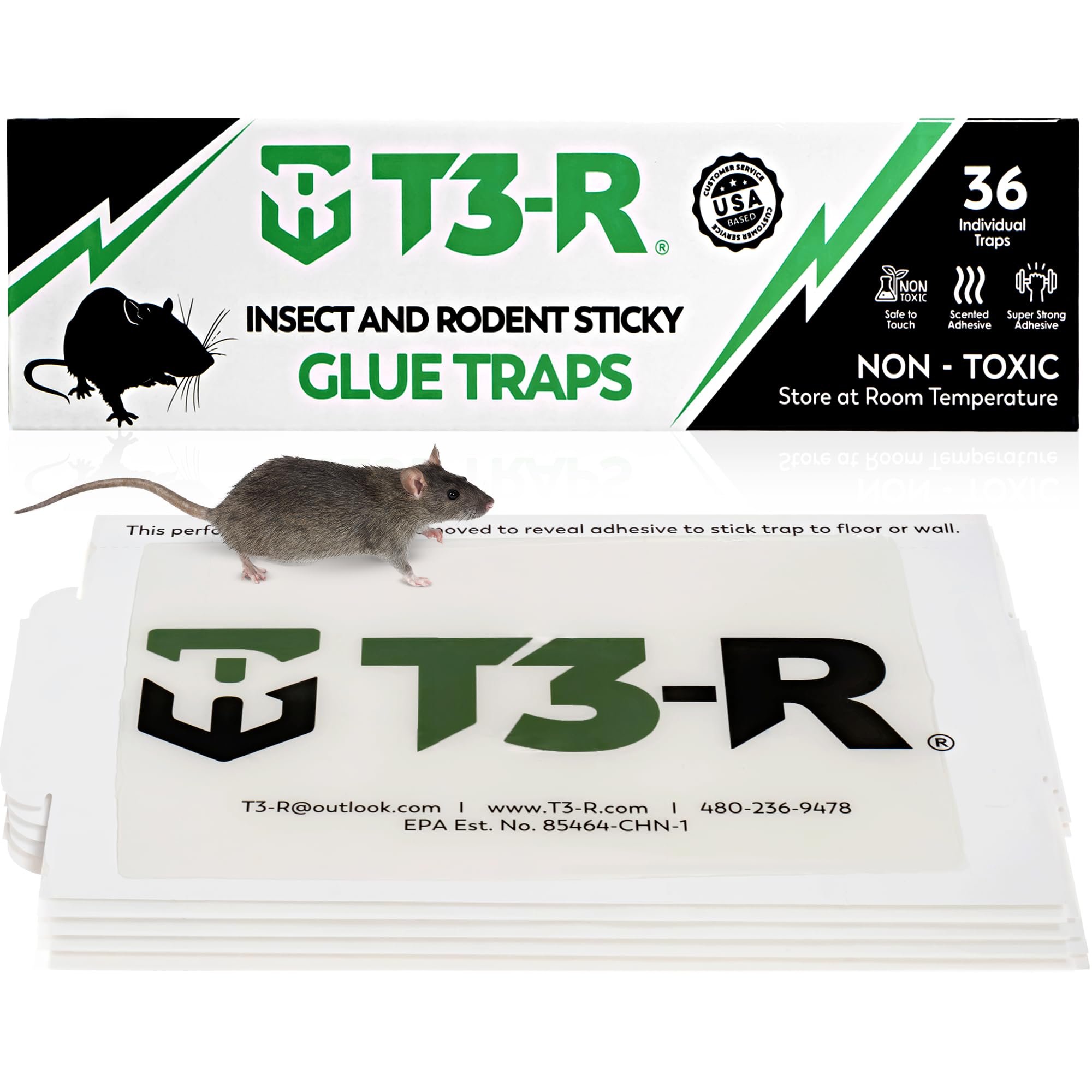 Amazon.com : T3-R Sticky Large Rat & Mice Glue Traps | Mouse and Insect ...