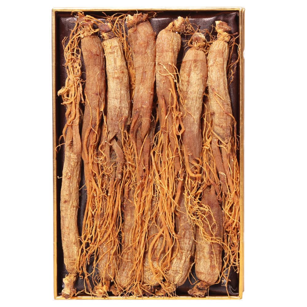 Amazon.com: Red Ginseng Roots Whole Root- Red Panax Ginseng Roots Ginseng Red Ginseng Korean Red ...