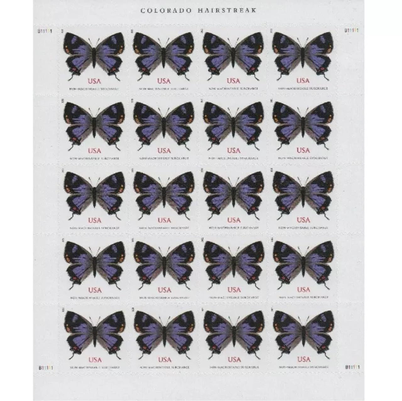 Amazon.com : Colorado Hairstreak (Non-Machineable Surcharge for Square ...