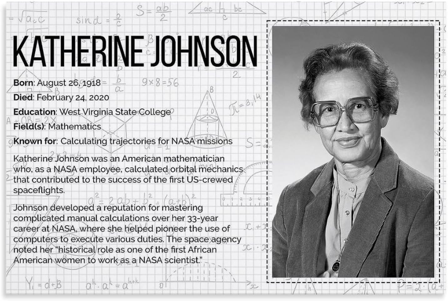 Amazon.com: TOYOCC Famous Mathematician Katherine Johnson Celebrity ...