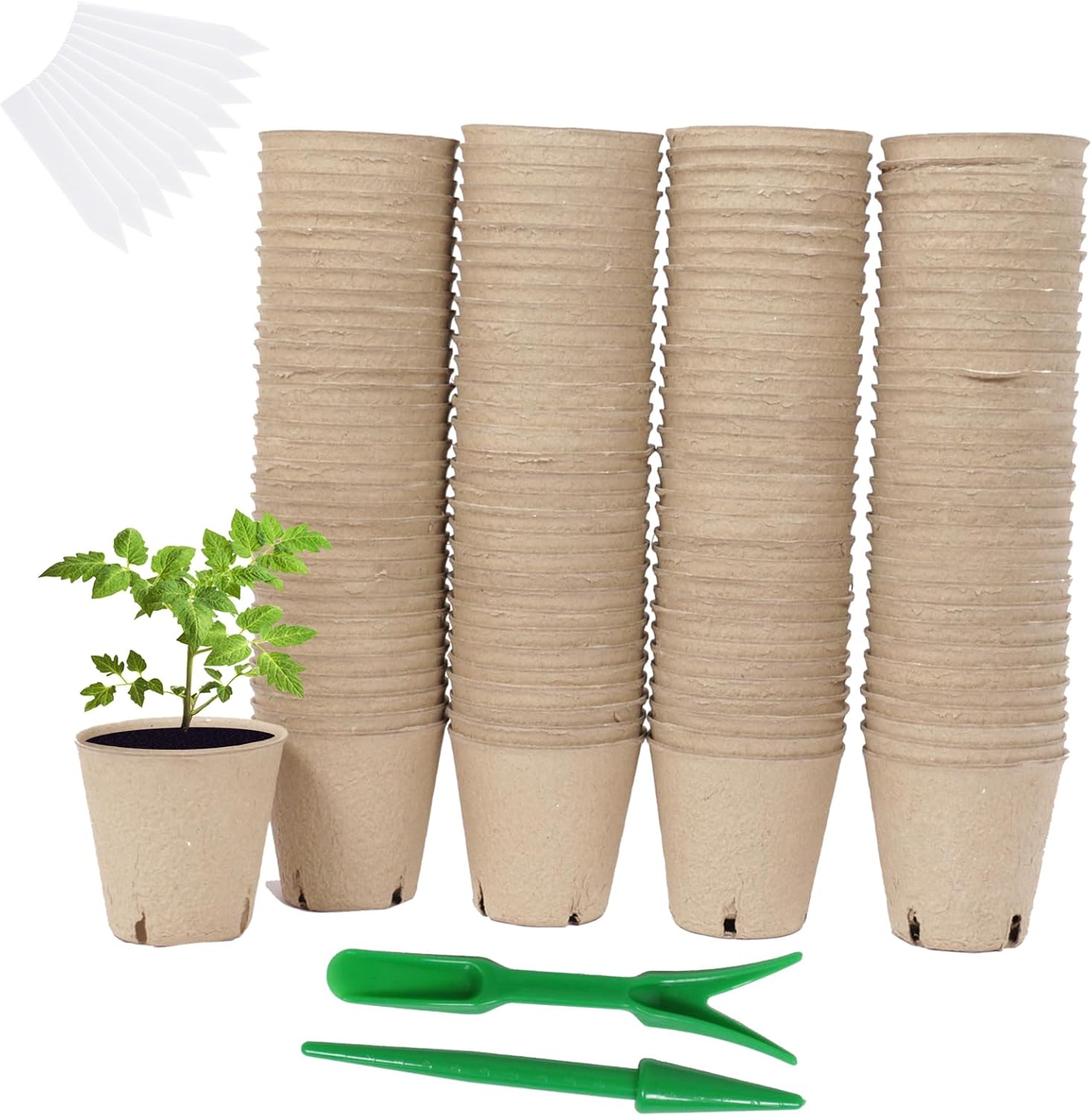 Amazon.com: Niiiice 130 Packs 3.15inch Peat Pots, Biodegradable Peat ...