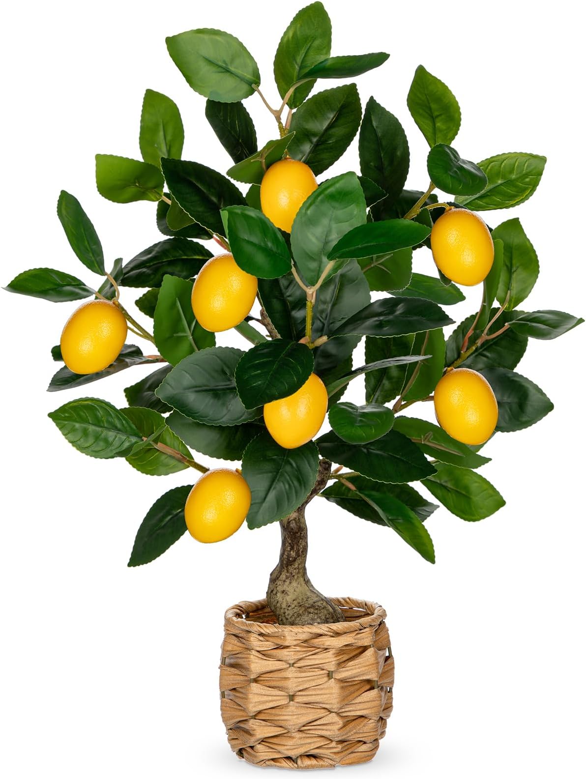 Amazon.com: QTMY 2 Pack Artificial Mini Lemon Tree Potted Plants ...