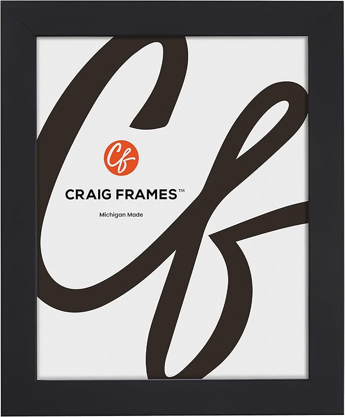 Amazon.com - Craig Frames Essentials, 28x35 Large Poster Frame, 1" Wide ...
