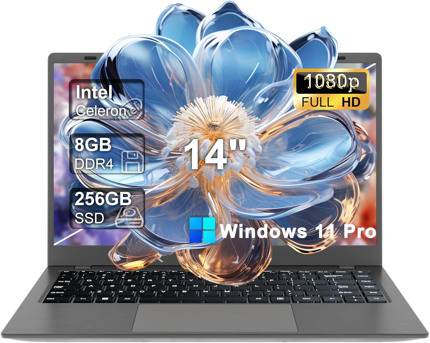 Amazon.com: GINA 14 Inch FHD Windows 11 Pro Laptop Computer for School ...