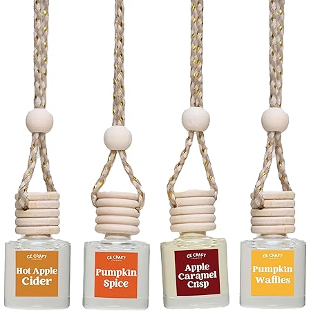 Amazon.com: CE Craft 4 Pack Fall Scented Car Freshener Diffuser - Car ...