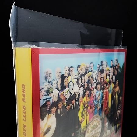 Amazon.com: 5 Box Set Outer Sleeves - Large No Flap - 4mil Polyethylene ...