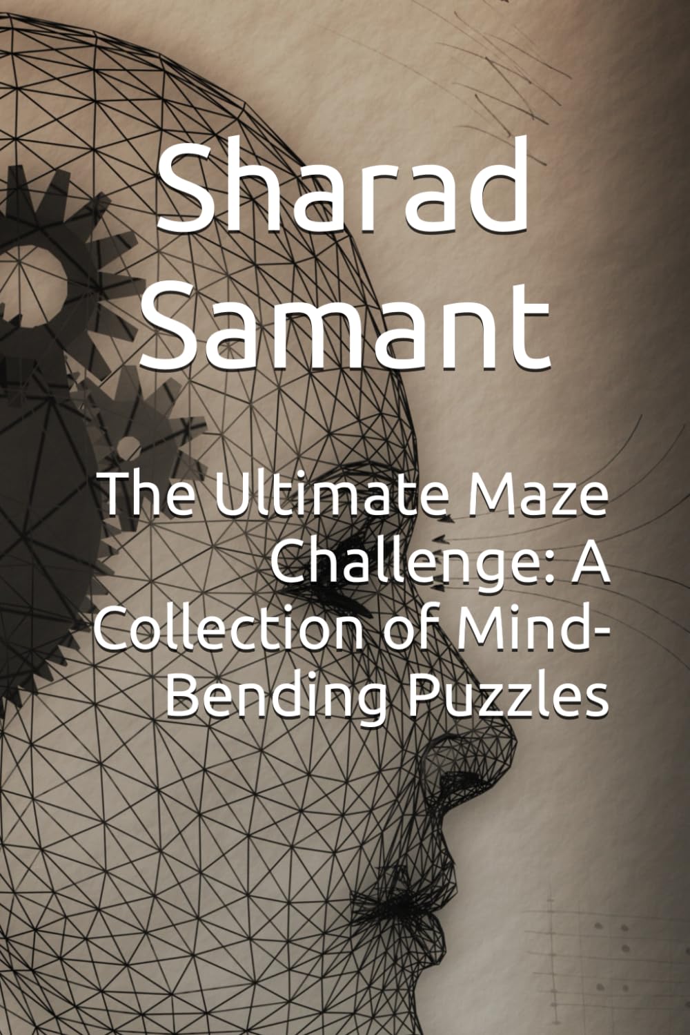 The Ultimate Maze Challenge: A Collection of Mind-Bending Puzzles ...