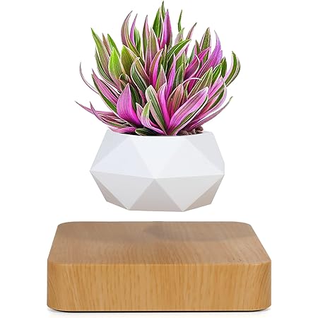 BLUEHAVEN INTERNATIONAL | Floating Levitating Rotating Plant Pot + 1 ...