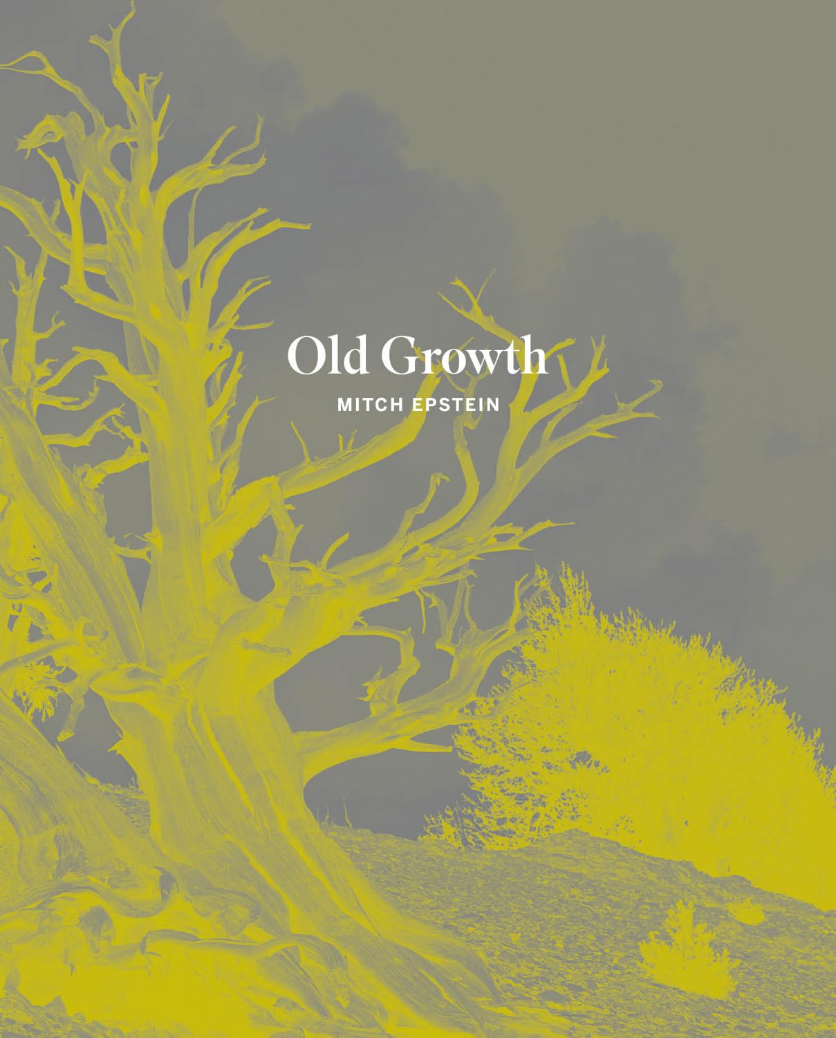 Amazon.com: Mitch Epstein: Old Growth: 9783969993200: Bell, Susan ...