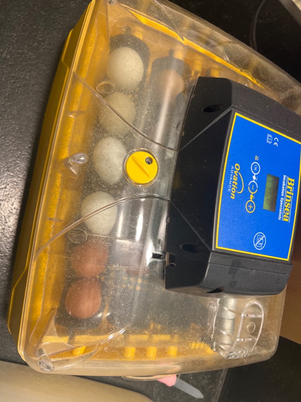 $11/mo - Finance Brinsea Ovation 28 Advance Egg Incubator with Humidity ...