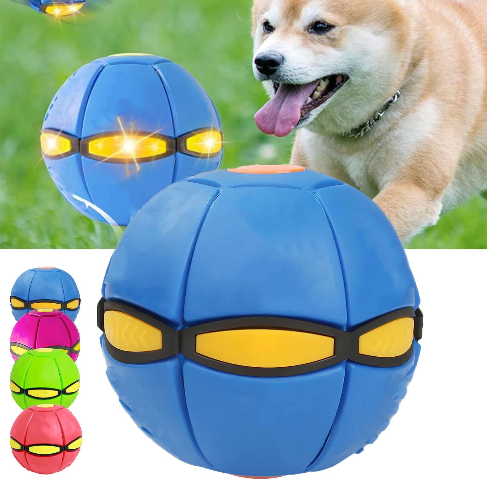 Pet Supplies : dosidolo Ancienflow The Doggy Disc Ball - Doggy Disc ...