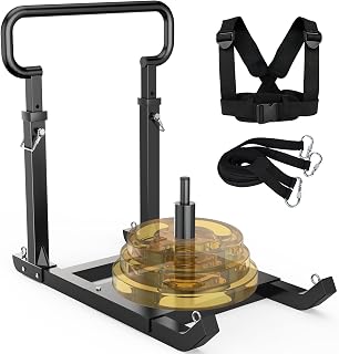 Hip Sled Workout: Targeted Muscles And Strength Training Benefits | CyVigor
