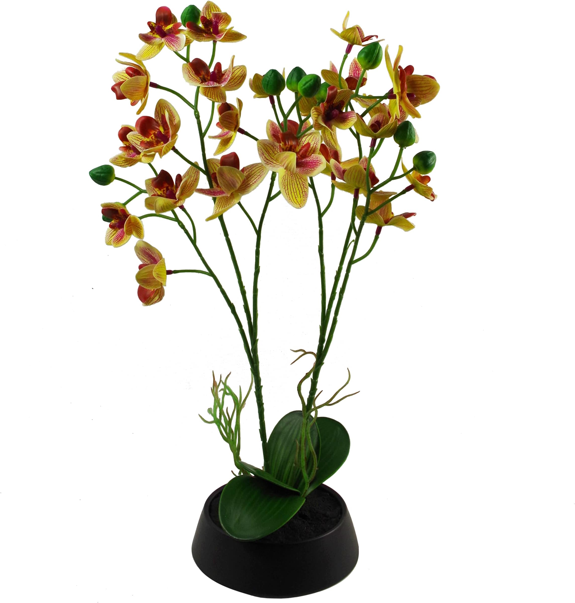 Leaf Design UK Realistic Artificial Orchid Flower Display in Pot ...