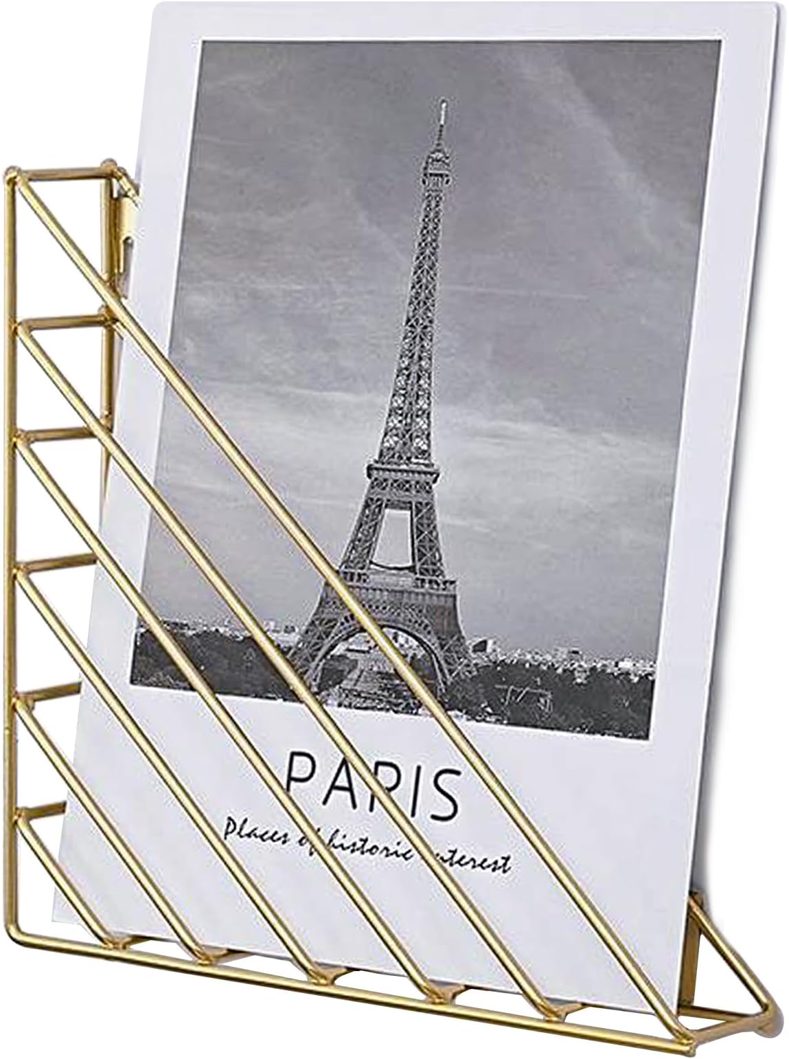 Amazon.com: MyGift Modern Wall Mounted Metal Wire Vinyl LP Record ...