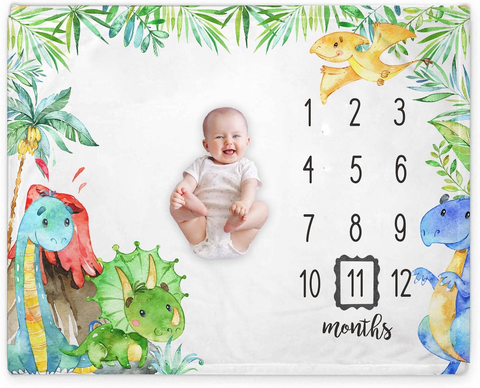 Amazon.com: Popfavors Dinosaur Baby Monthly Milestone Blanket,Dinosaur ...