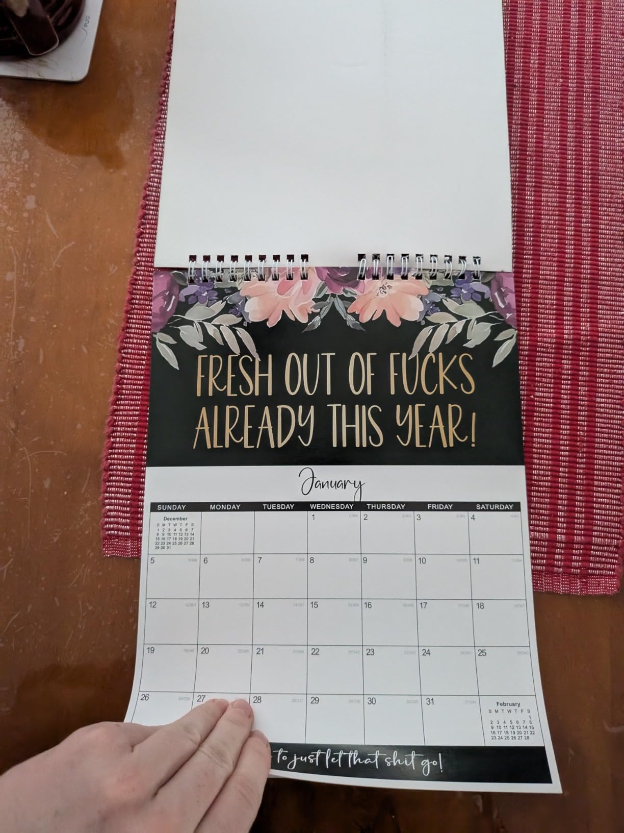 Viiotu Funny "Fu-ck It" Monthly Calendar, 12 Months of Funny, Bold and ...