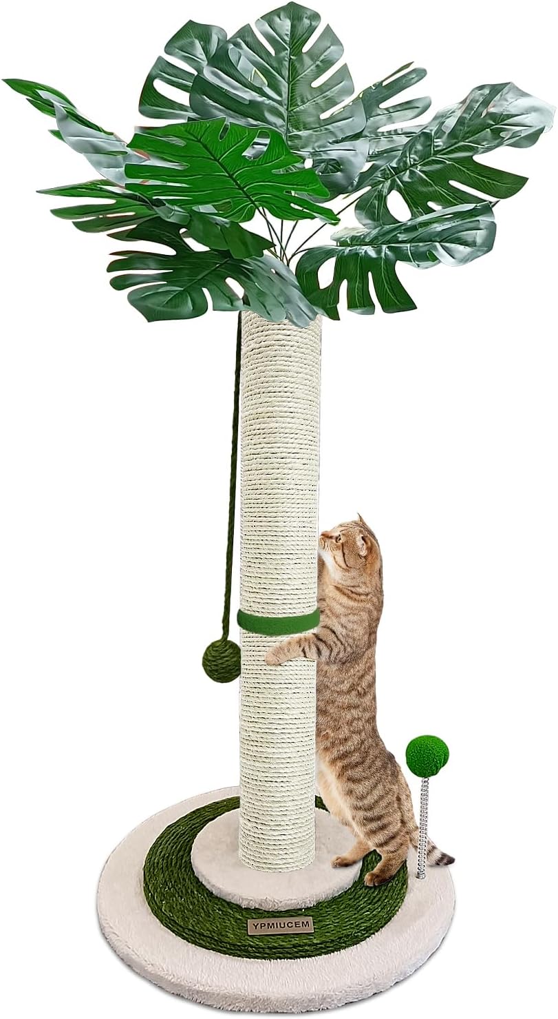 Amazon.com : Woochpet Cat Scratching Post, 35" Tall Cat Scratcher ...