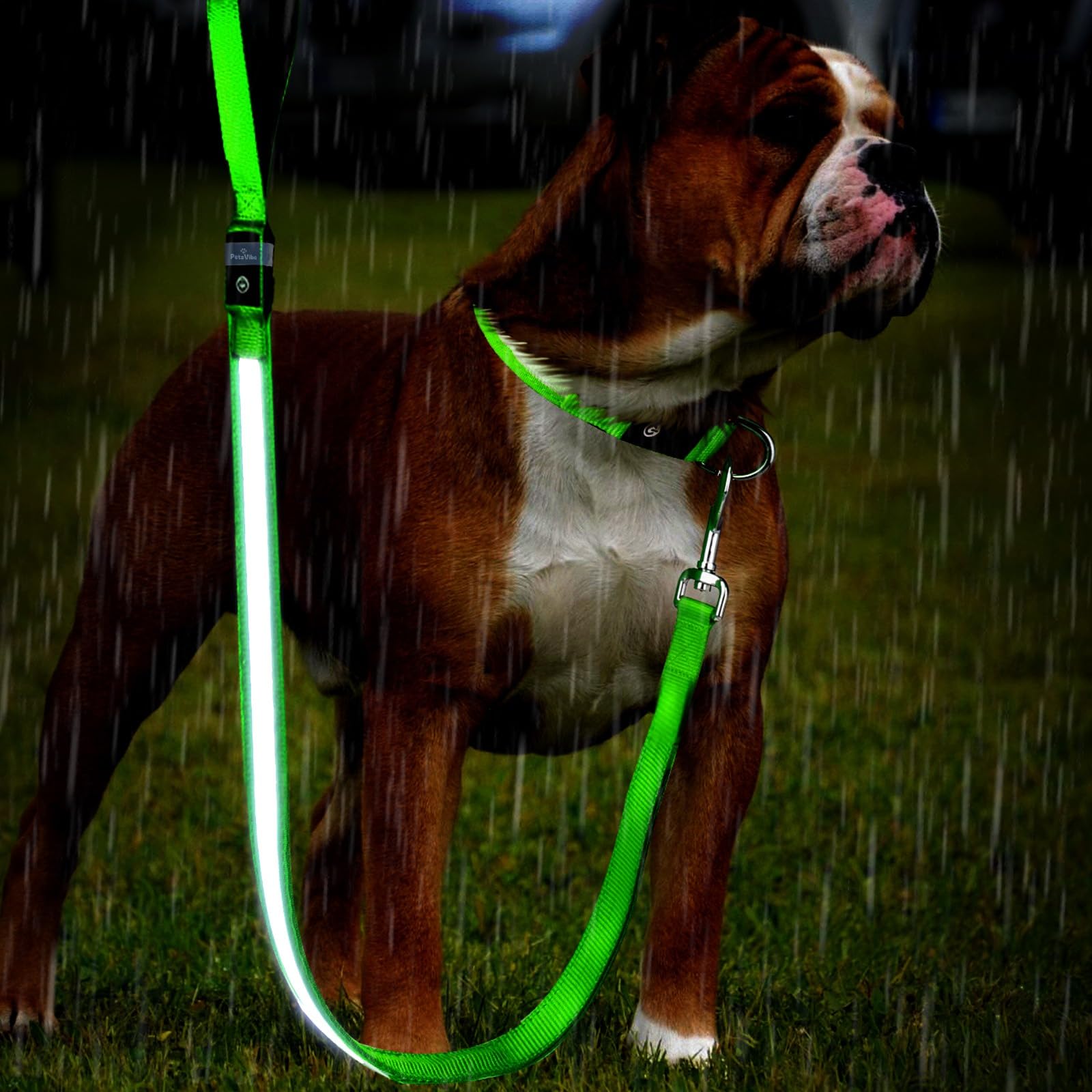 PetsVibe Illuminated lead for dogs. USB Rechargeable LED Flashing Dog ...