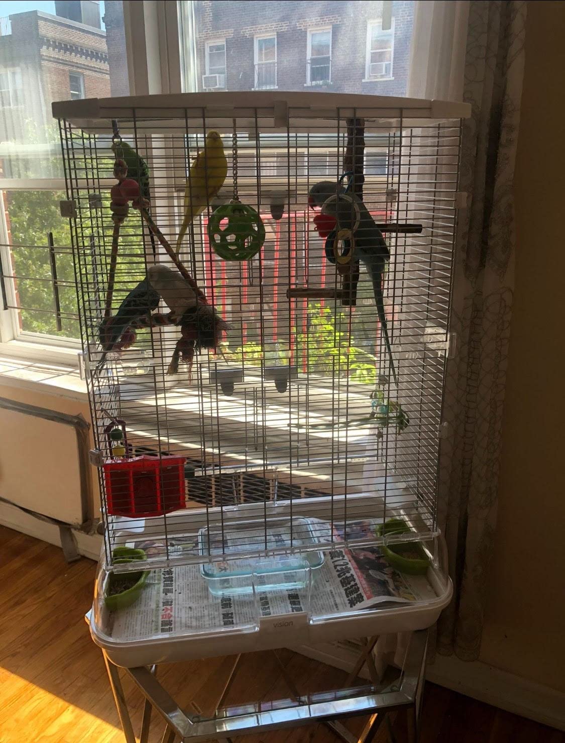 $26/mo - Finance Vision Wire Bird Cage, Bird Home for Parakeets ...
