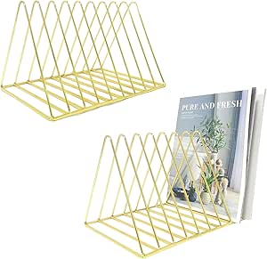 Amazon.com : HOLAYANZI Triangle File Folder Racks and Magazine Holder ...
