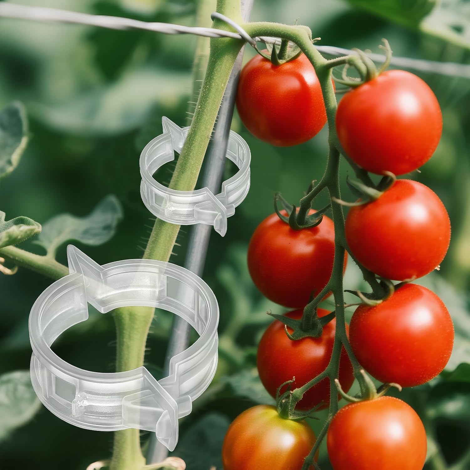 Amazon.com : 100pcs Secured Plant Clips,Plastic Trellis Garden Support ...