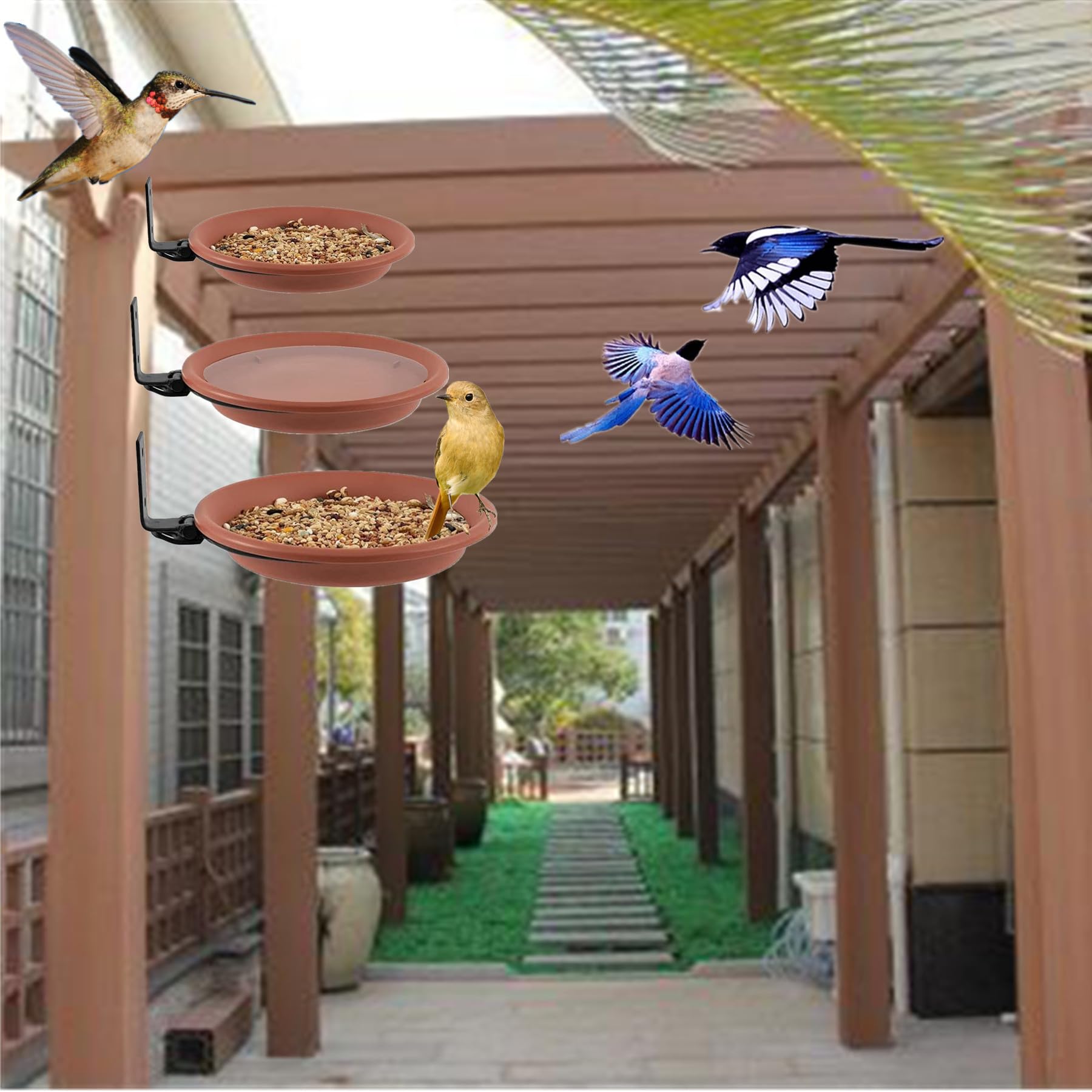 Snapklik.com : Alfyng 3 Bird Feeder Trays Parrots Bath Bowl, Tree ...