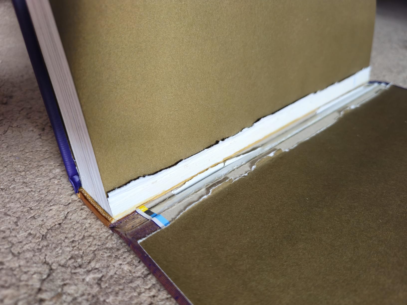 Ancient Rome: The Definitive Visual History (DK Definitive Visual ...