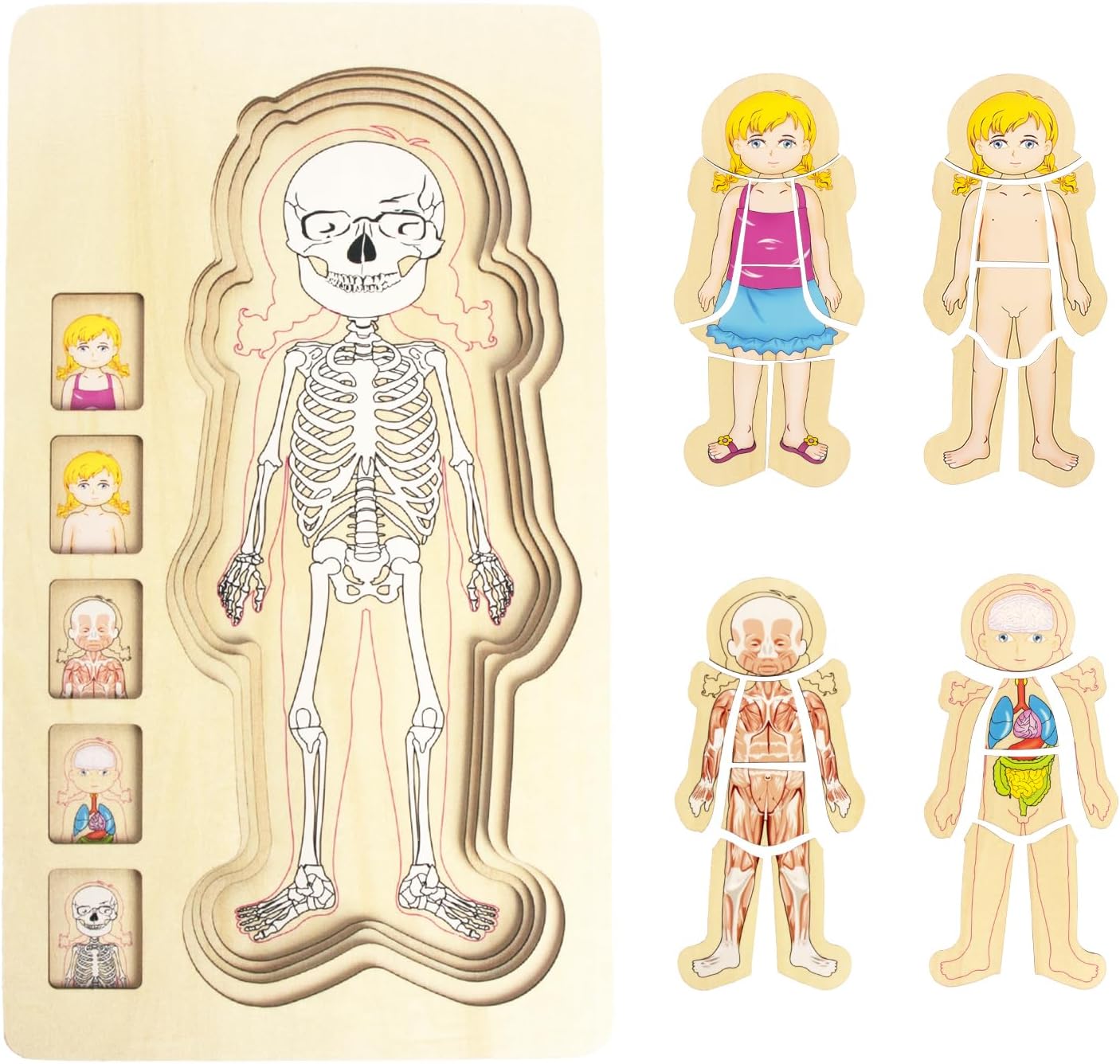 Amazon.com: WOODENFUN Human Body Puzzles for Kids 3-5,Wooden Montessori ...