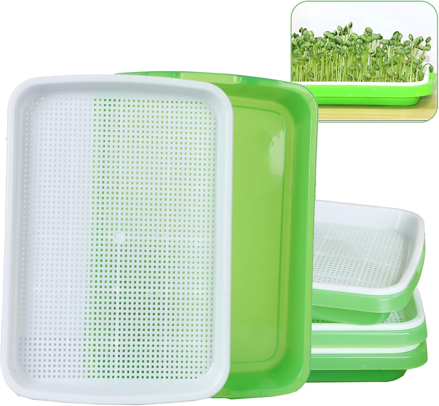 Amazon.com : 6 Pack Seed Sprouting Tray with Drain Holes,BPA Free PP ...