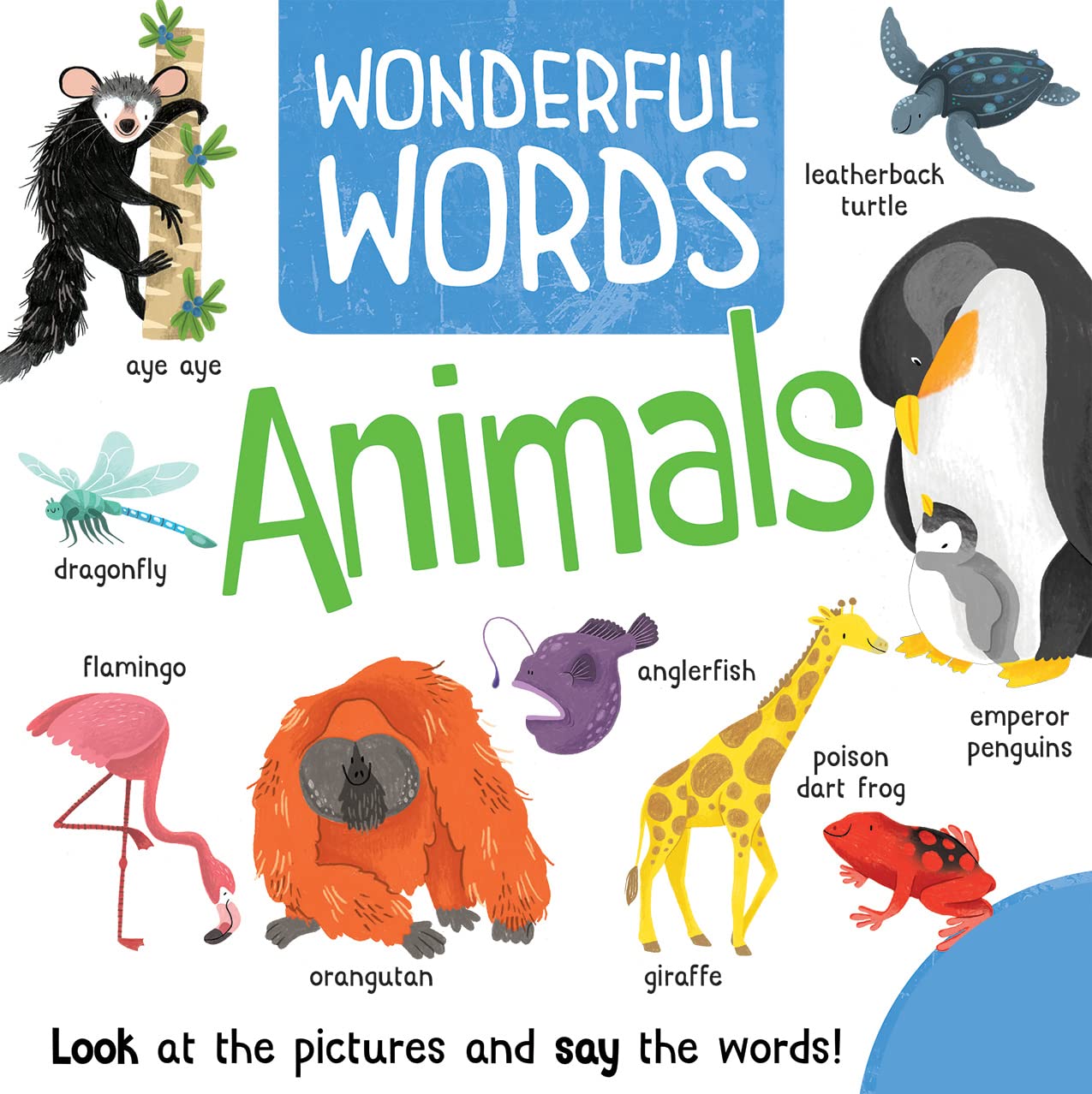Amazon.com: Animals (Wonderful Words): 9781538394458: Wray, Jordan: Books