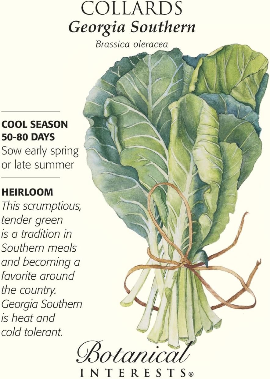 Amazon.com : Botanical Interest - Collards Georgia Southern : Vegetable ...