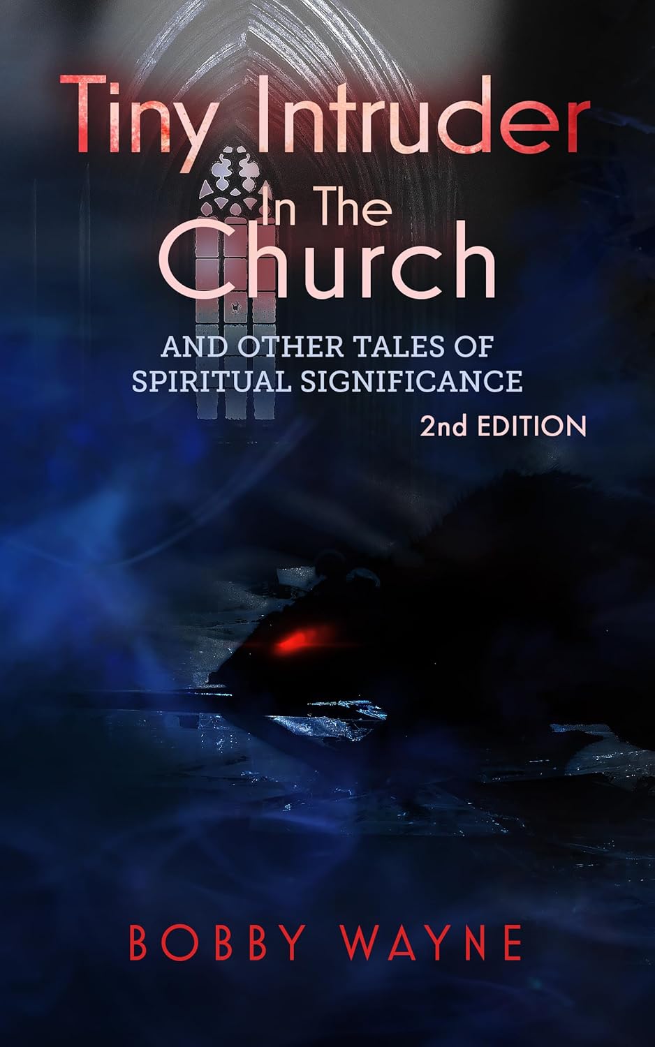 Amazon.com: Tiny Intruder in the Church: And Other Tales of Spiritual Significance eBook : Wayne ...