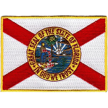 Amazon.com: Overdecor Florida Flag Patch Tactical Military Patches ...