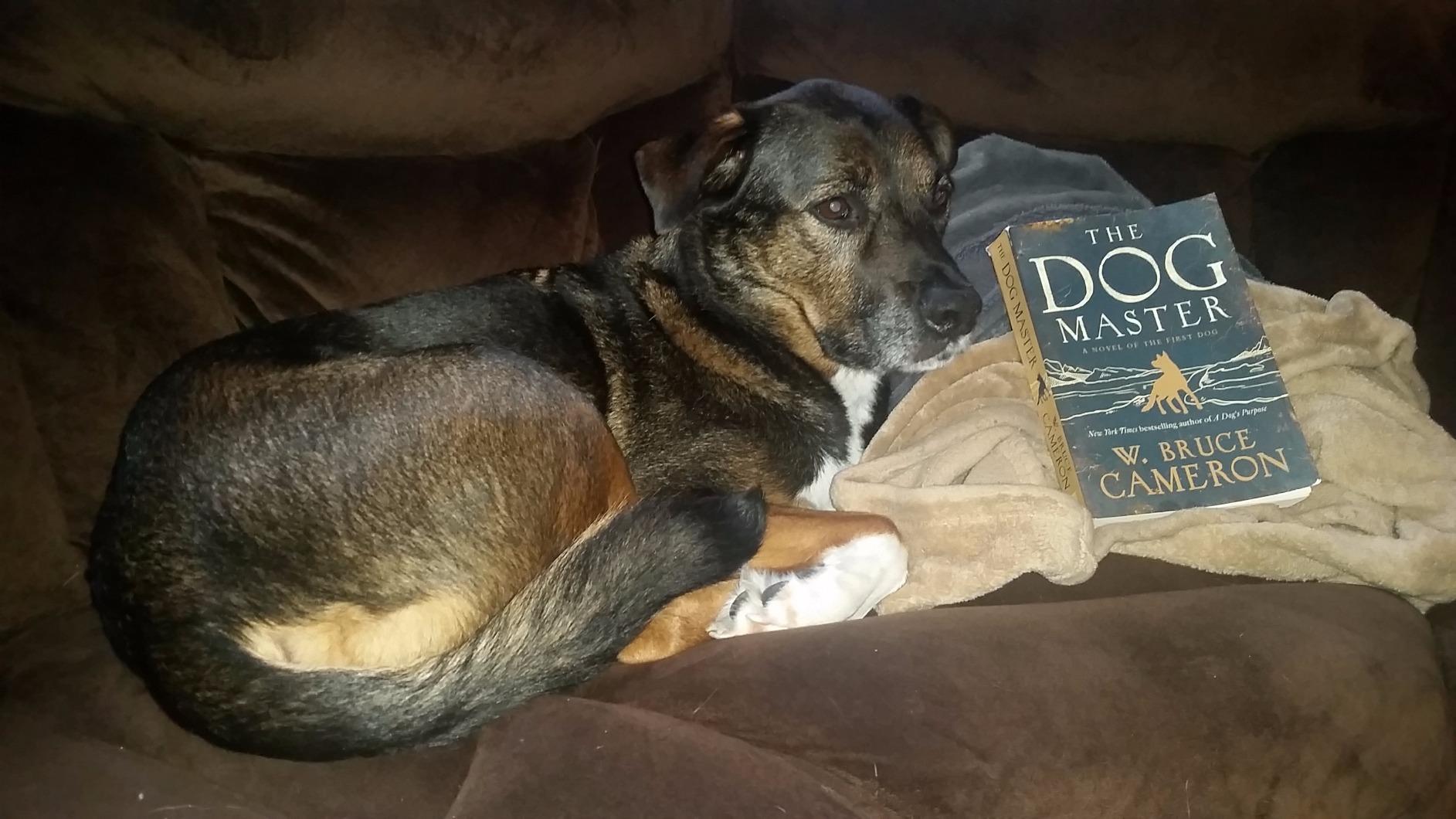 Amazon.com: The Dog Master: A Novel of the First Dog: 9780765374639 ...
