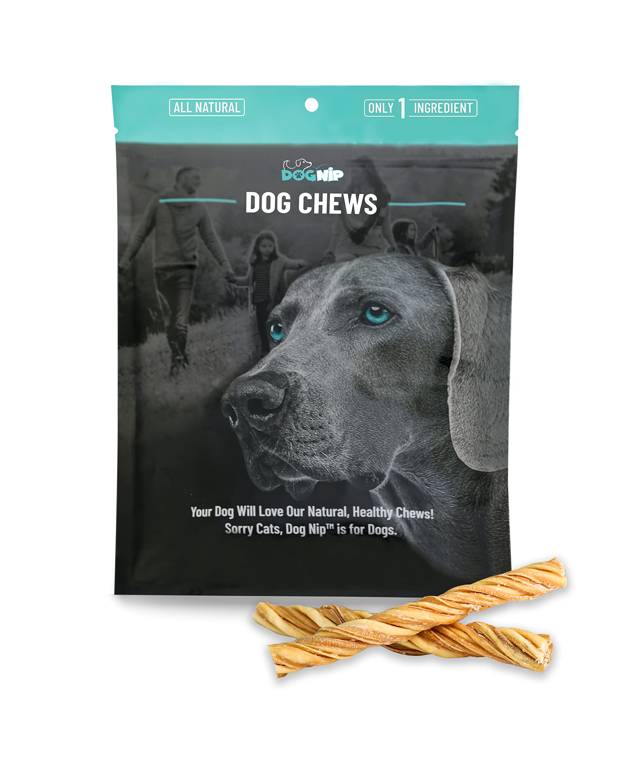What Can I Give My Dog For A Snack