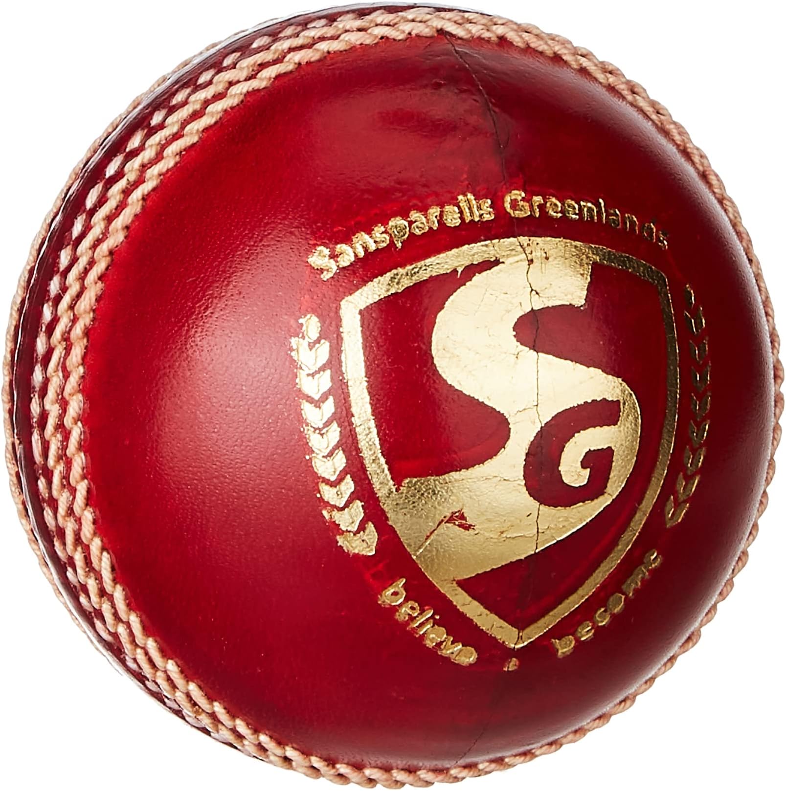 SG Shield 30 Four-Piece Water Proof Cricket Leather Ball (RED) : Amazon ...