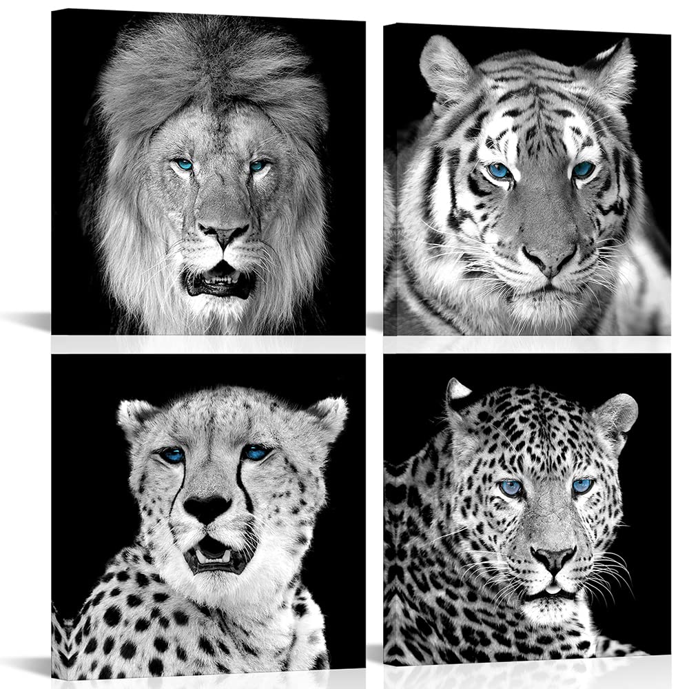 White Cheetah With Blue Eyes