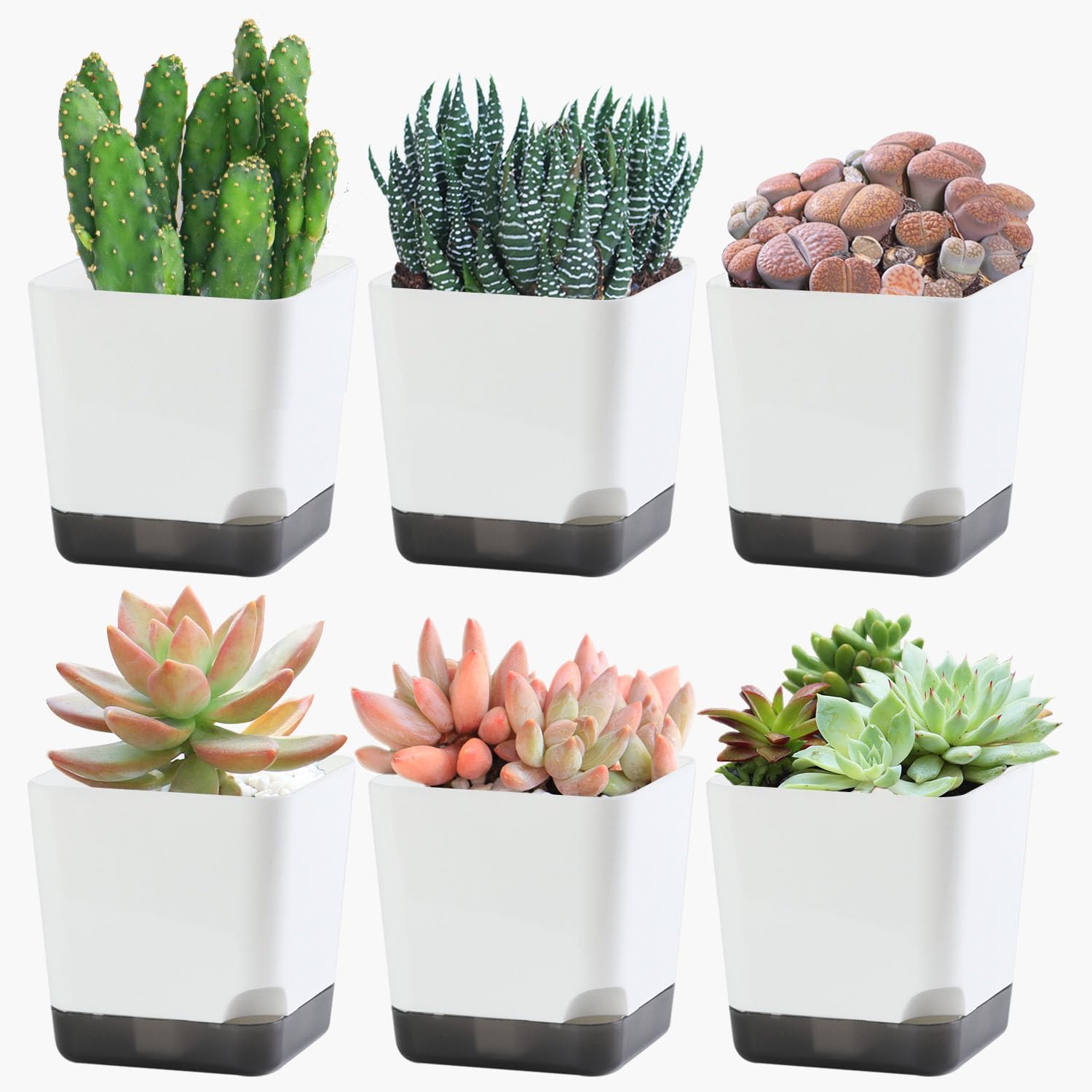 Amazon.com : Kipokalor Ceramic Succulent Mini Planter Pot,Mini 6 Set ...