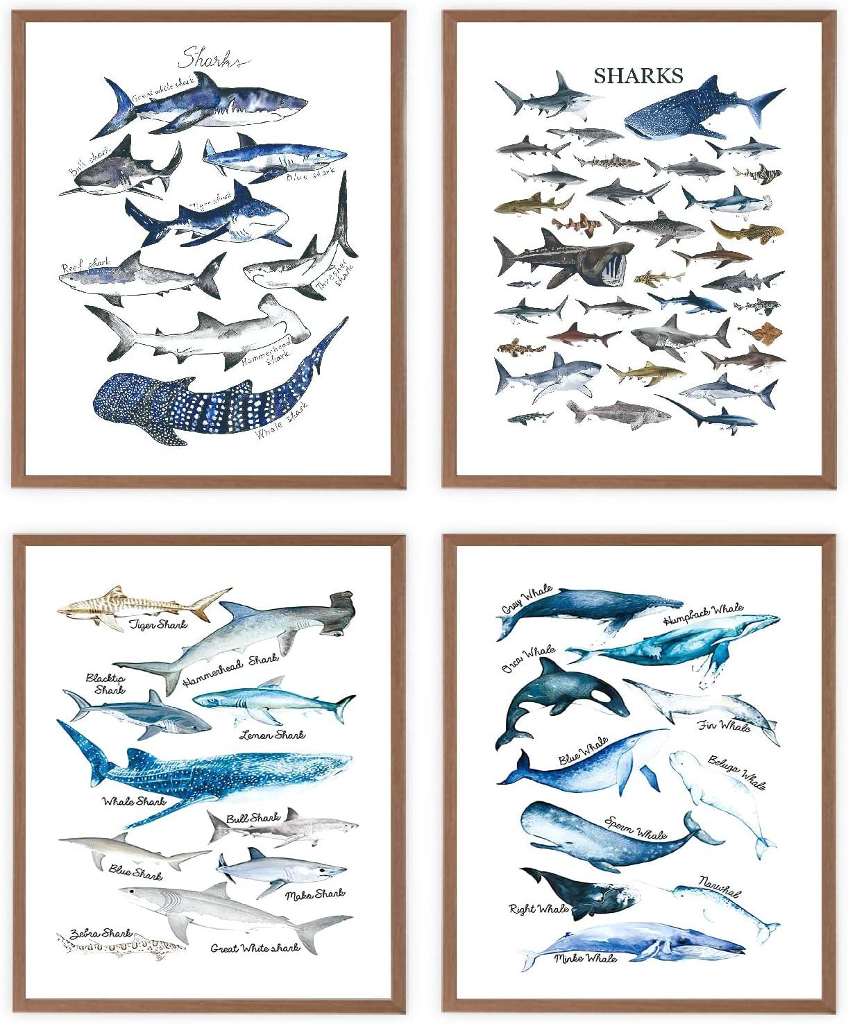 Amazon.com: VNWEK Watercolor Rustic Sharks and Whales Wall Art Poster ...