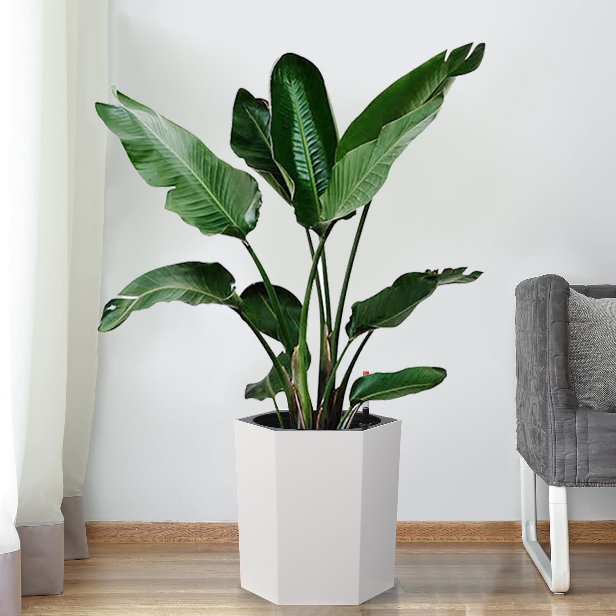 Snapklik.com : STMHOM Hexagonal Planters Set Of 2, Self Watering Pots ...