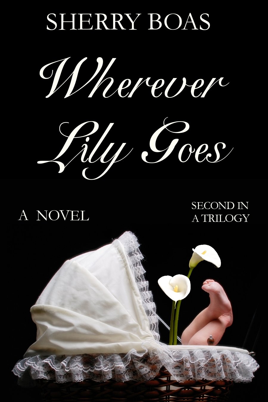 Wherever Lily Goes: The Second in a Trilogy (The Lily Trilogy Book 2 ...