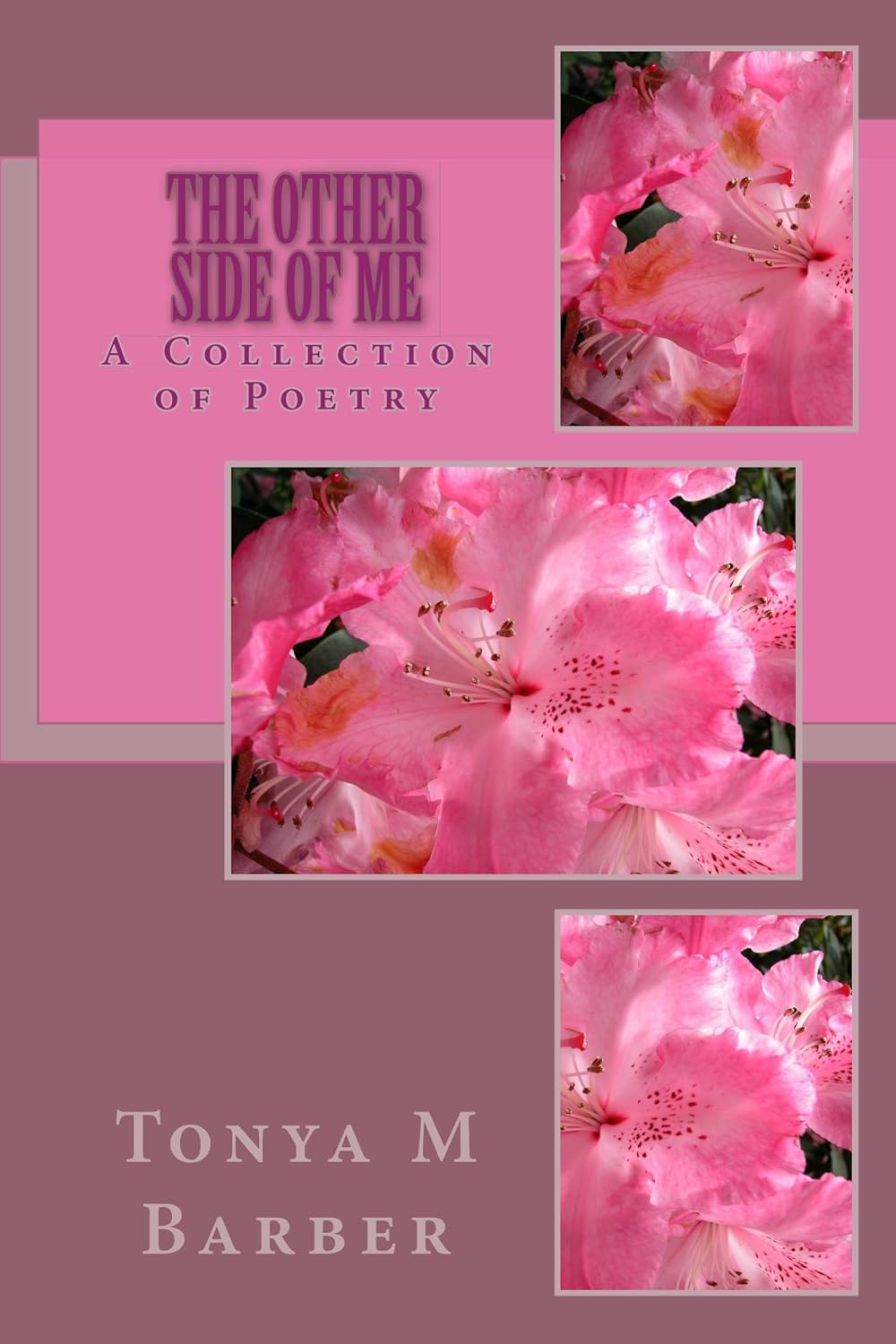 The Other Side Of Me - Kindle edition by Barber, Tonya. Literature ...