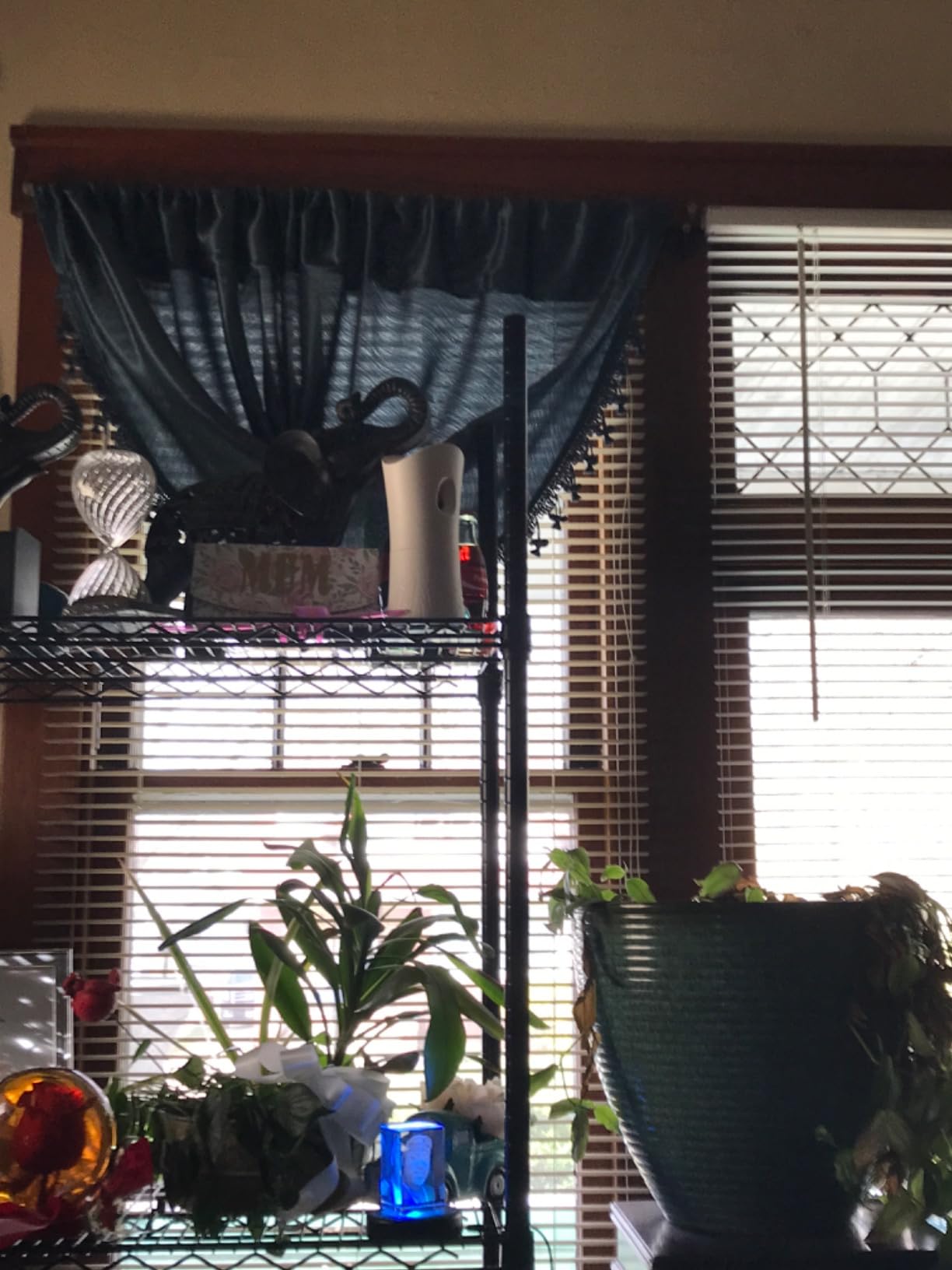 Amazon.com: Lysol Neutra Air Freshmatic Automatic Spray Kit (Gadget + 1 ...