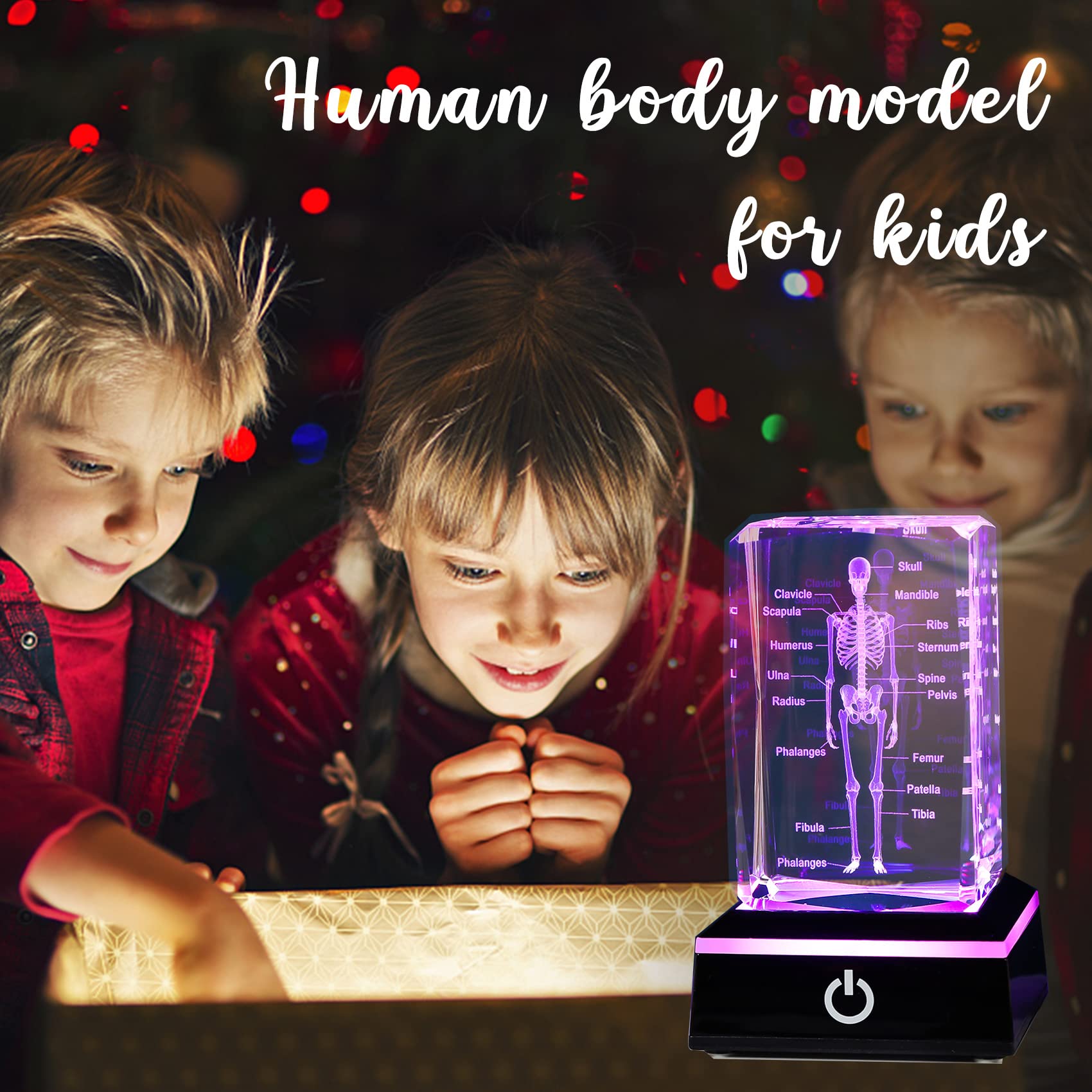 Snapklik.com : Movdyka 3D Human Skeleton Anatomy Model Doctor ...