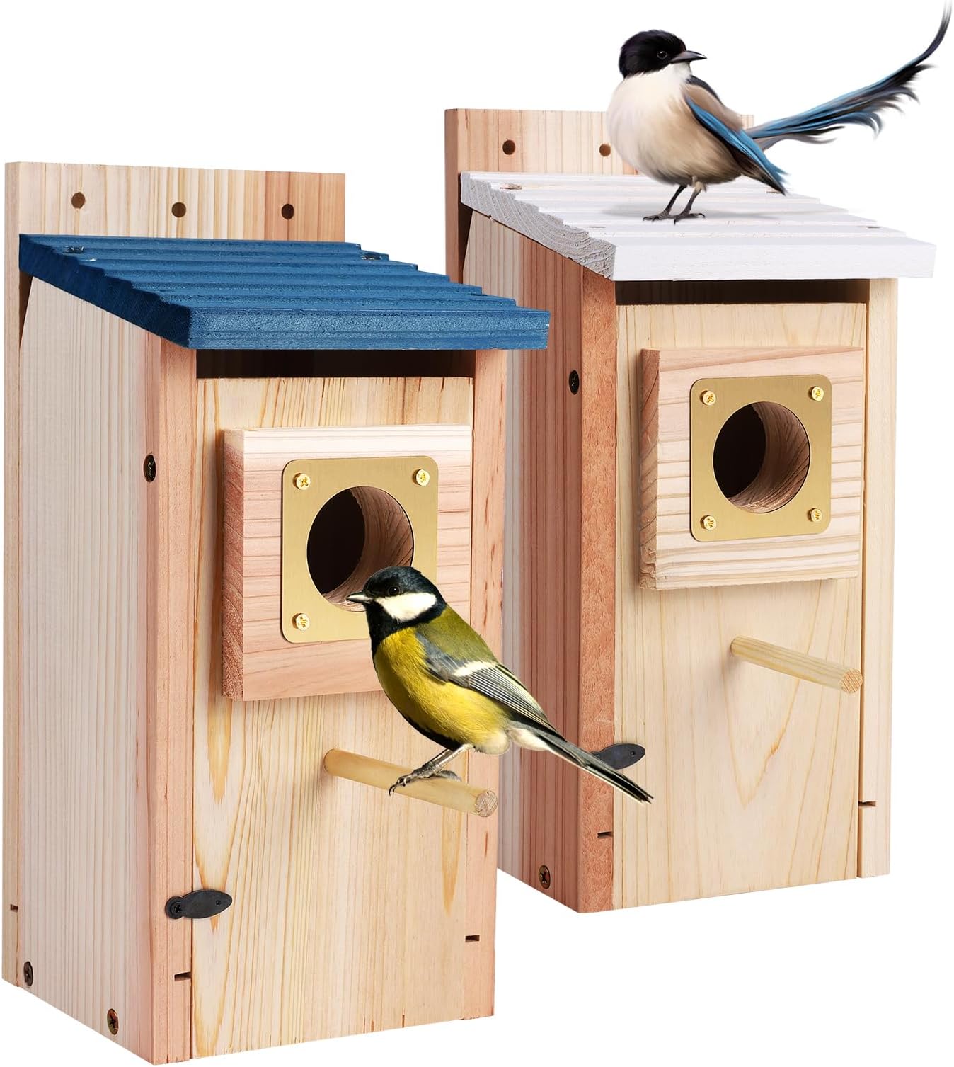 Amazon.com: Bird House - Rustic - Cedar Blue Bird Box House, for ...