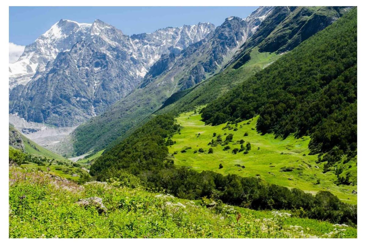 Nature Wall Poster Mountain Hills Poster for Entrance/Living Room/ Wall ...