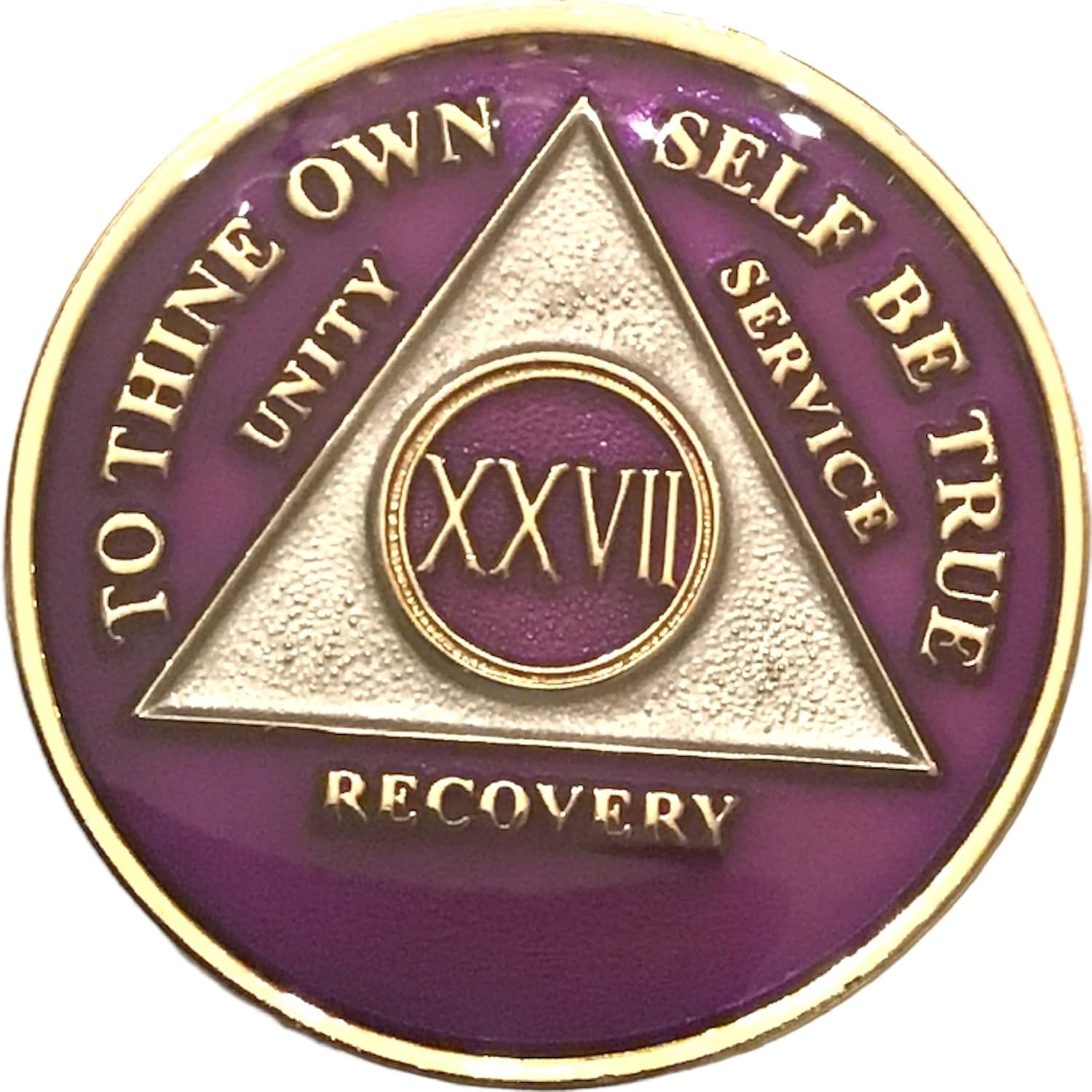 Amazon.com : 27 Year AA Medallion - Purple and Silver Tri-Plate ...