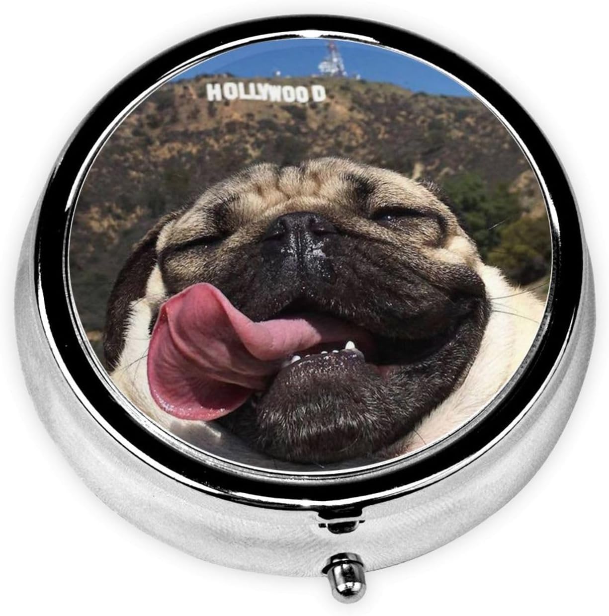 Amazon.com: Pug Dog Printed Pill Box with 3 Compartments Pill Case ...